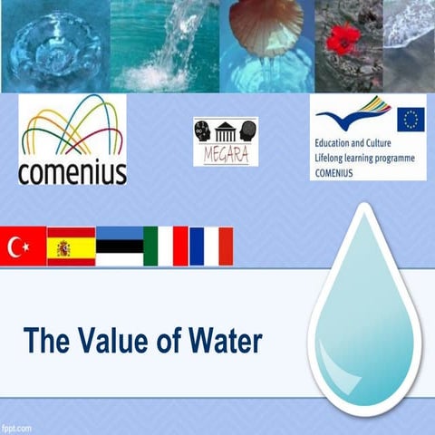 Value of water | PPT