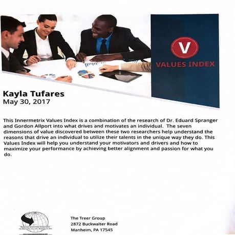Values index assessment summary report | PDF