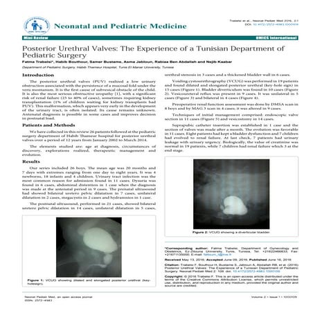 Assessment of Ureteroscopy During Pregnancy.docx