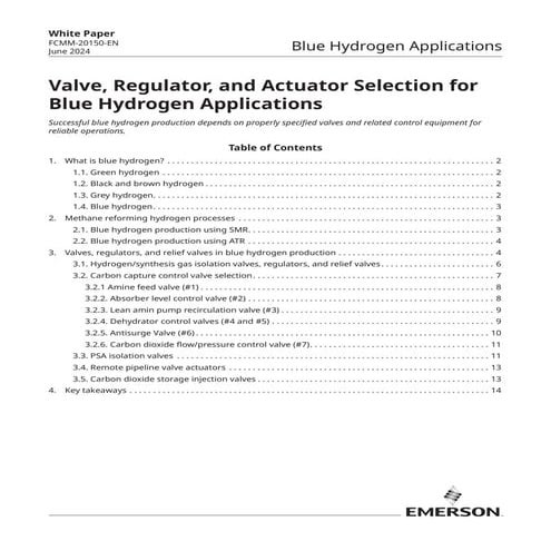valve-regulator-actuator-selection-for-blue-hydrogen-applications-en ...