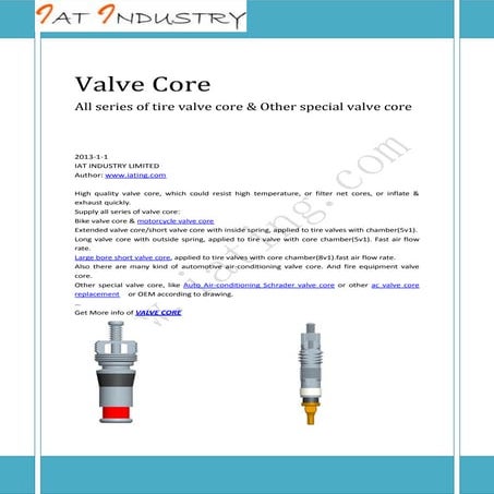 Valve stem core | PDF