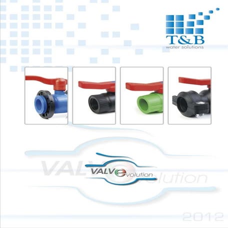 Valv Evolution | PDF