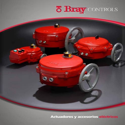 Valvula bray controls | PDF