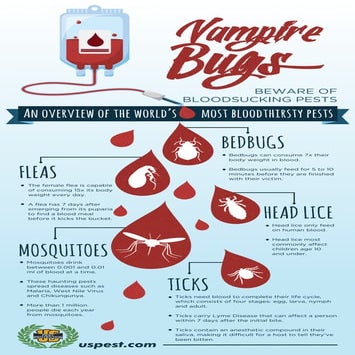 Vampire bugs-infographic-e | PDF