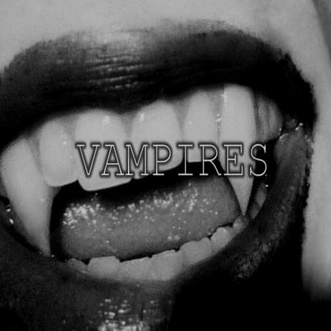 A level media studies y2 C1SA Kiss of The Vampire media language and ...