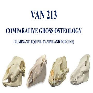 VAN 213 COMPARATIVE OSTEOLOGY LECTURES-1.pdf