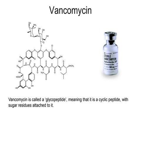 TDM Vancomycin pdf | PDF