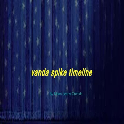 vanda | PPT