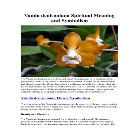 Vanda denisoniana Spiritual Meaning and Symbolism.docx