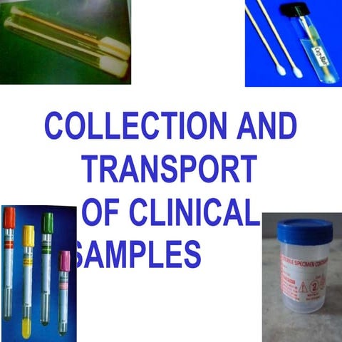 specimen collection and transport | PPTX