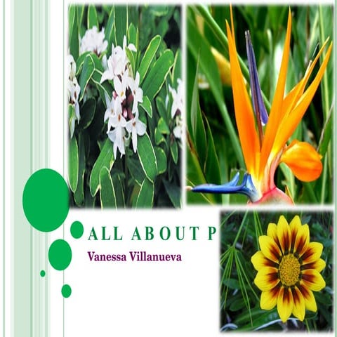 All about plants | PPT