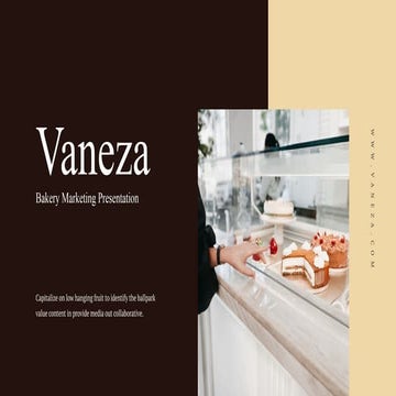 Vaneza Presentation : Dark Color Version | PDF | Marketing and ...
