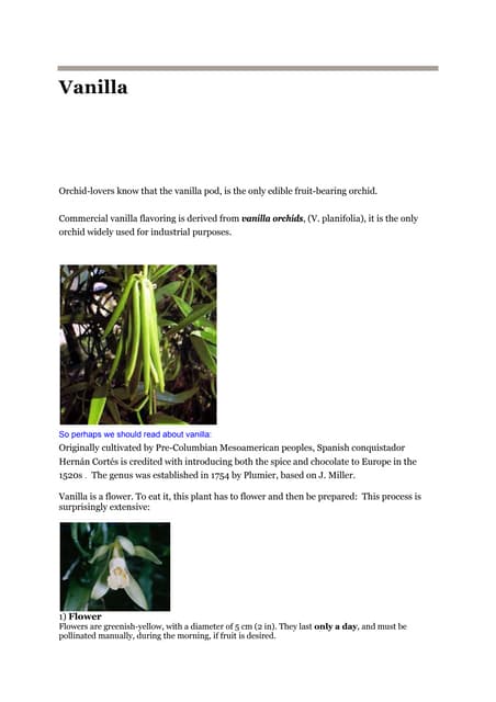 Processing of Vanilla. | PPT