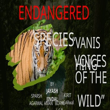 Power Point Presentation Endangered Animals | PPTX