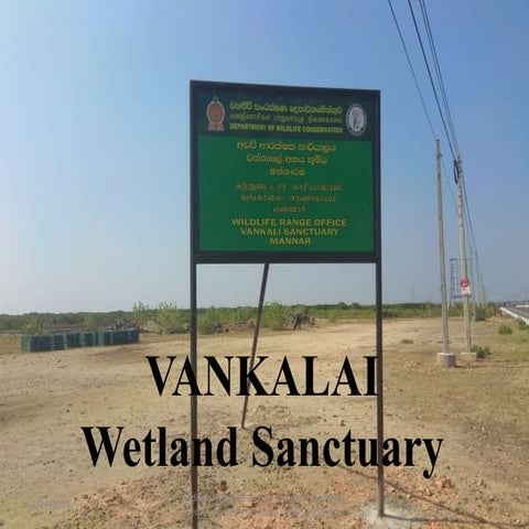 Vankalai wetland | PPTX