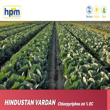 Hindustan Vardan | PDF