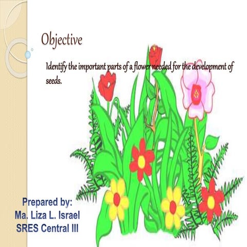 SIM:Plants Prt 2 | PPTX