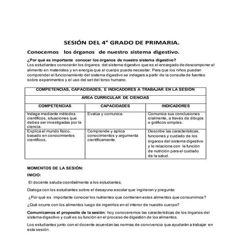 4° grado ciencia | PDF