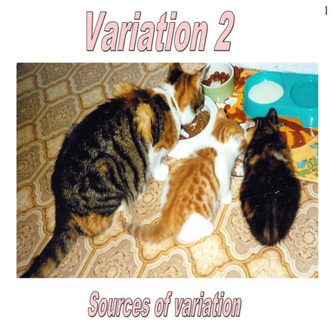 Biology Variation 2 | PPT