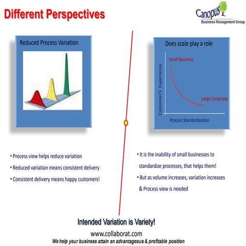 Variation- different perspectives | PPTX | Business | Business and Finance