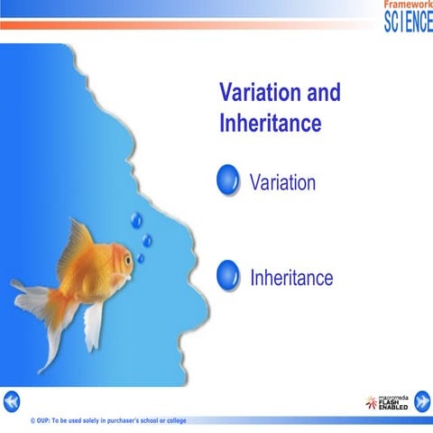 variation and inheritance - IGCSE BIOLOGY | PPT
