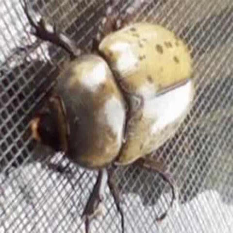 Variations in image size and image resolution | PDF