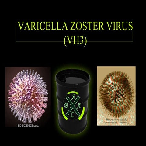 Varicella zoster virus (vh3) Ingreso Del Virus | PPSX