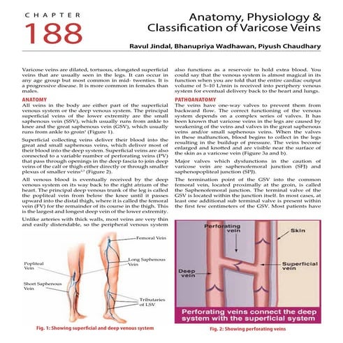 Anatomy, Physiology & Classification of Varicose Veins | PDF