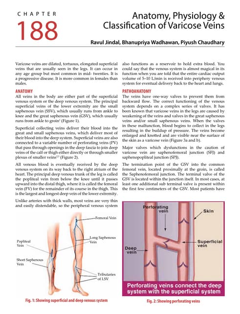 The Great Saphenous Vein ANATOMY by Abhishek.pptx