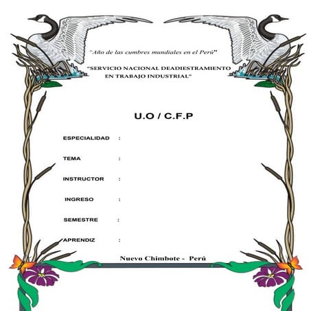 VARIEDADES DE CARATULAS PARA INFORMES ACADÉMICOS .docx