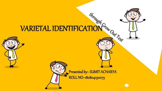Varietal identificaton through grow-out test and Electrophoresis | PPT