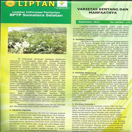 Varietas kentang dan mafaat | PDF