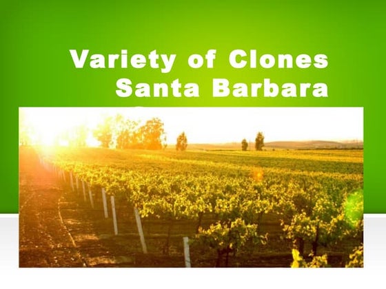 Presentación1 | PPT