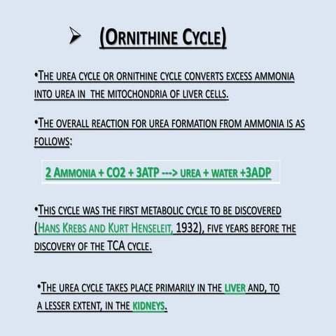 urea cycle{ornithine cycle} | PPTX