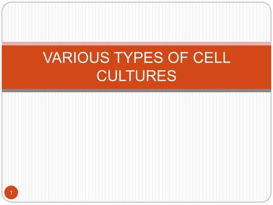 Cell lines | PPT