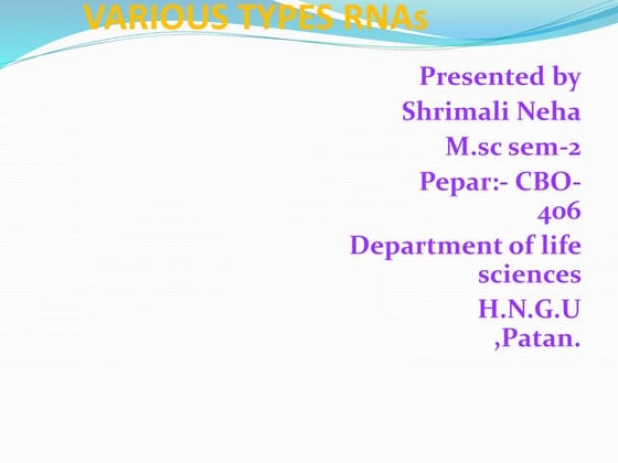 structure types and function of RNA | PPT