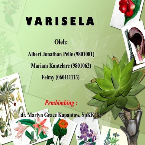 VARISELA.ppt............................ | PPT