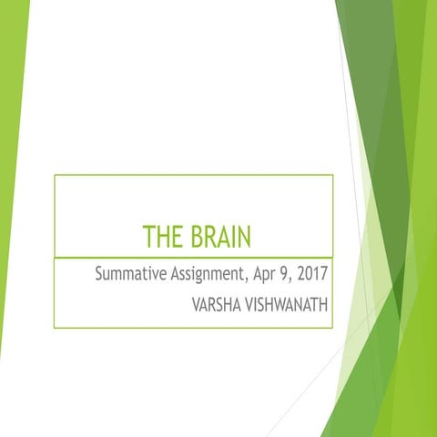 brain | PPTX | Brain and Nervous System Disorders | Diseases and Conditions