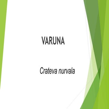 VARUNA.pptx | Herbs and Supplements | Alternative Medicine