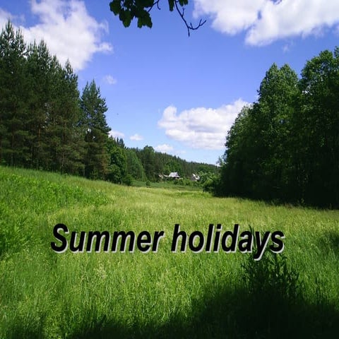 Summer holidays | PPT | National & Civic Holidays | Holidays