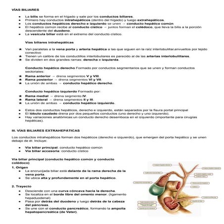 vias biliares irrigacion e inervacion ademas de drenja venoso | PPTX