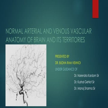 vascularanatomy of brain by dr budha ram.pptx