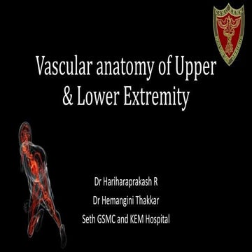 Presentation1.pptx, radiological vascular anatomy of the upper and lower limbs. | PPTX