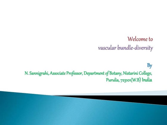 VASCULAR CAMBIUM Repaired plants anatomy | PPTX