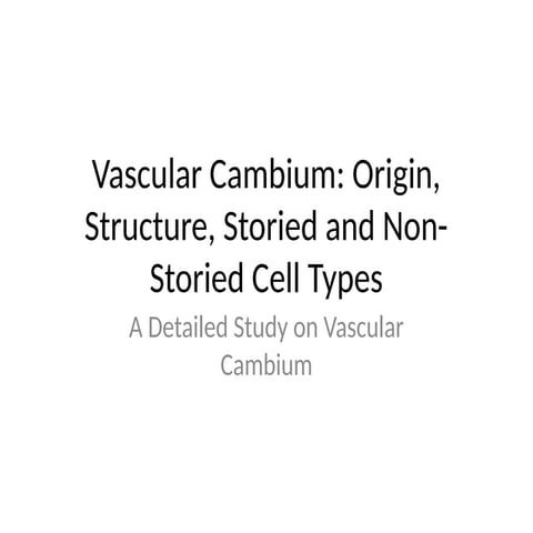 Vascular Cambium & Seasonal activity & its Role in Stem & Root | PPTX