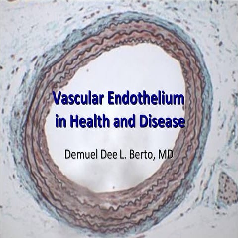 Vascular Endothelium in Health and Disease | PPT