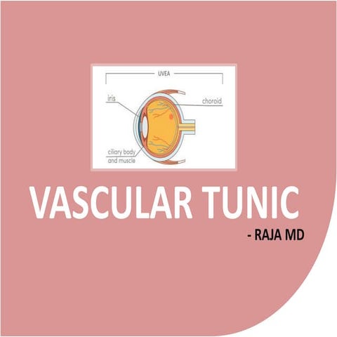 Vascular layer of the eye | PPTX