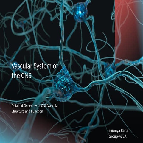 Vascular System of CNS.pptx The CNS requires a constant and ...