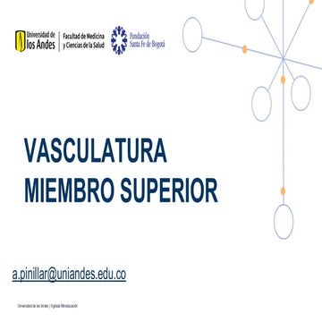 Anatomy and Vascularization of the Upper Limb: Arteries and Venous ...