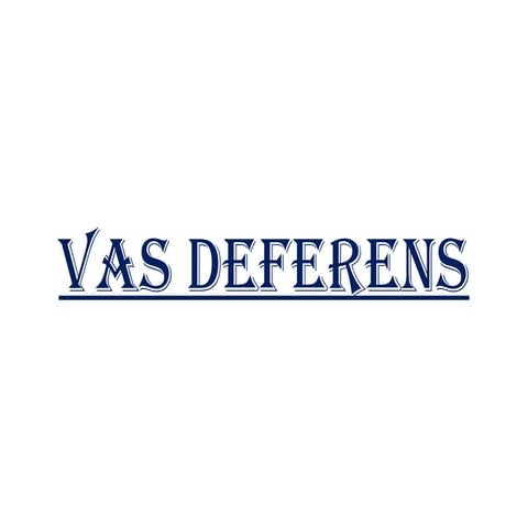 Vas deferens Seminal vesicle Ejaculatory ducts | PPT